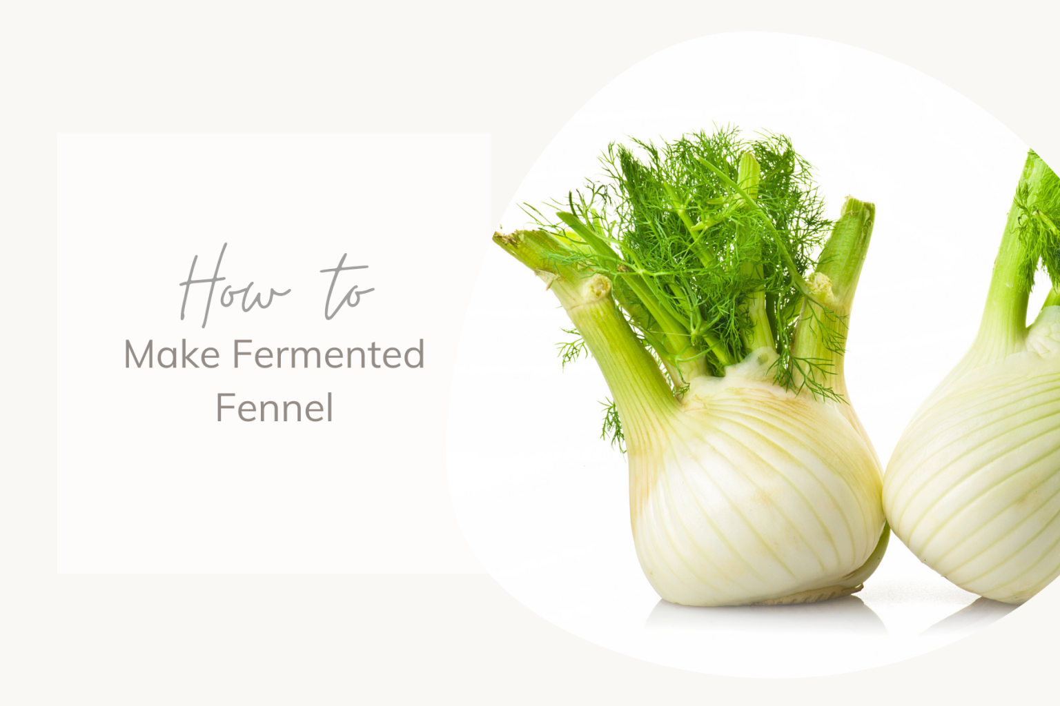 How to Make Fermented Fennel – Share My Kitchen